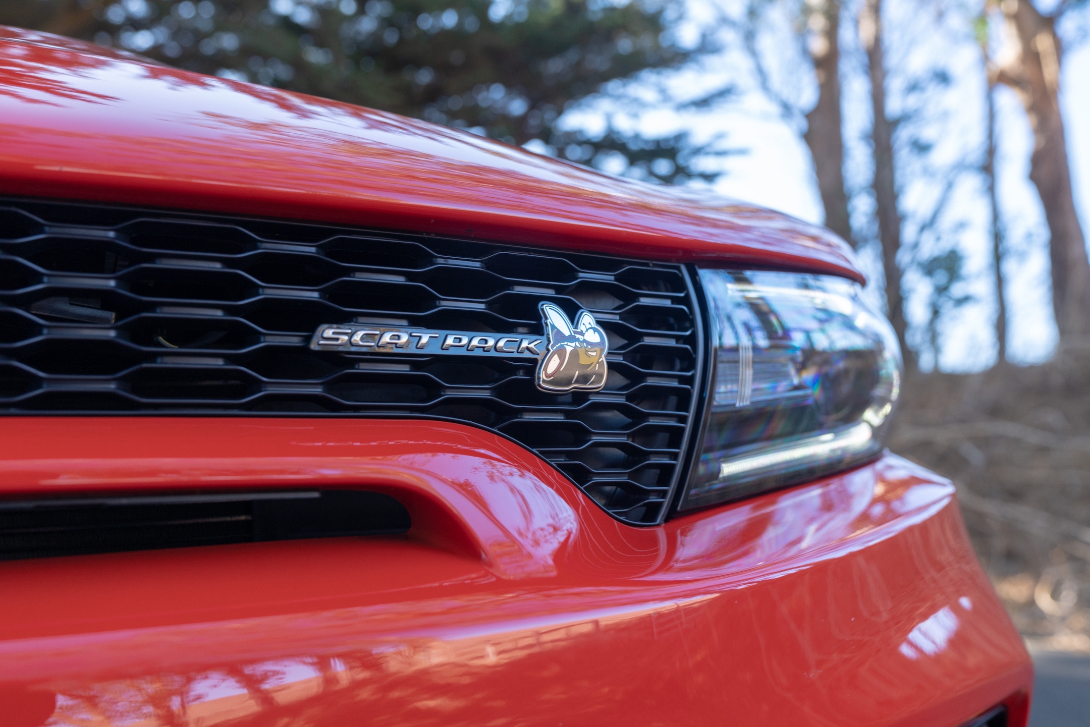 2020 Dodge Charger Scat Pack Widebody: A DriveWays Review… – The Review ...